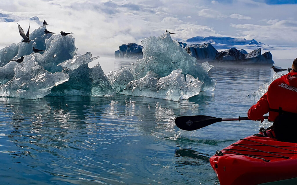 A Kayaking Adventure in Iceland's Glacier Lagoon